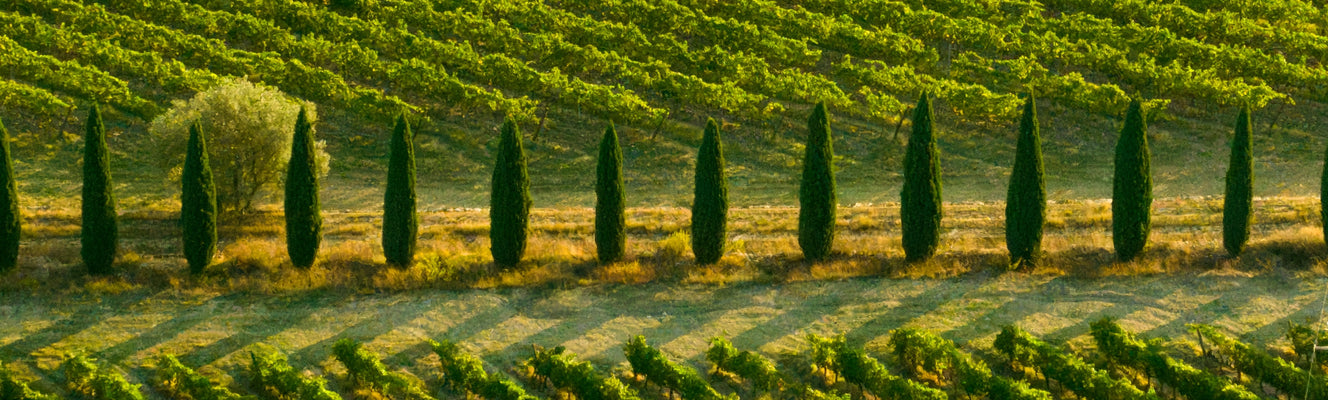 Santedame: Estate in Chianti Classico's Conca D'Oro – Ruffino